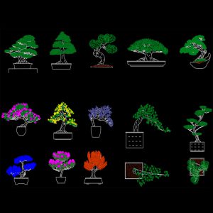 Bonsai DWG CAD Block free download - freedwgfile