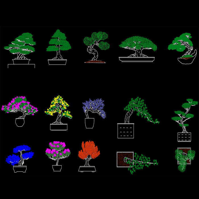 Bonsai DWG CAD Block free download