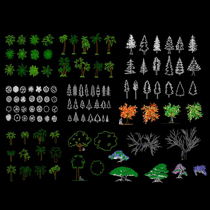Arbre DWG, plan et élévation, blocs CAO gratuits - freedwgfile