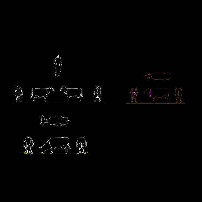 Cow DWG,CAD Blocks, free download - freedwgfile