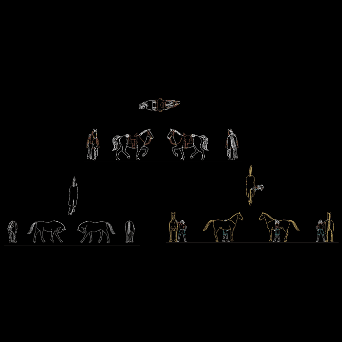 Horses DWG, free CAD Blocks in plan and elevation - freedwgfile